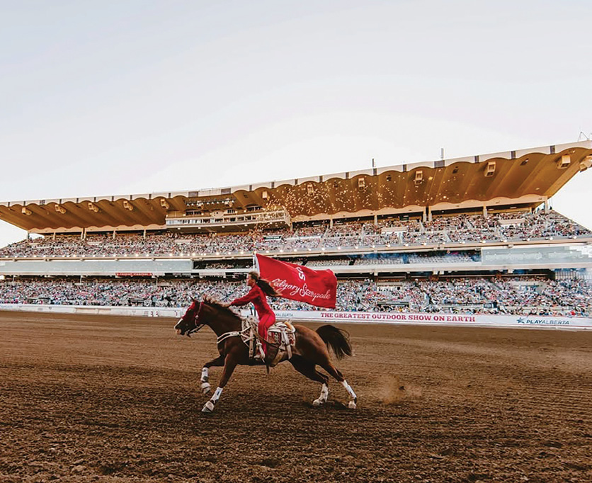 Stampede: The most expensive show on earth | The Reflector
